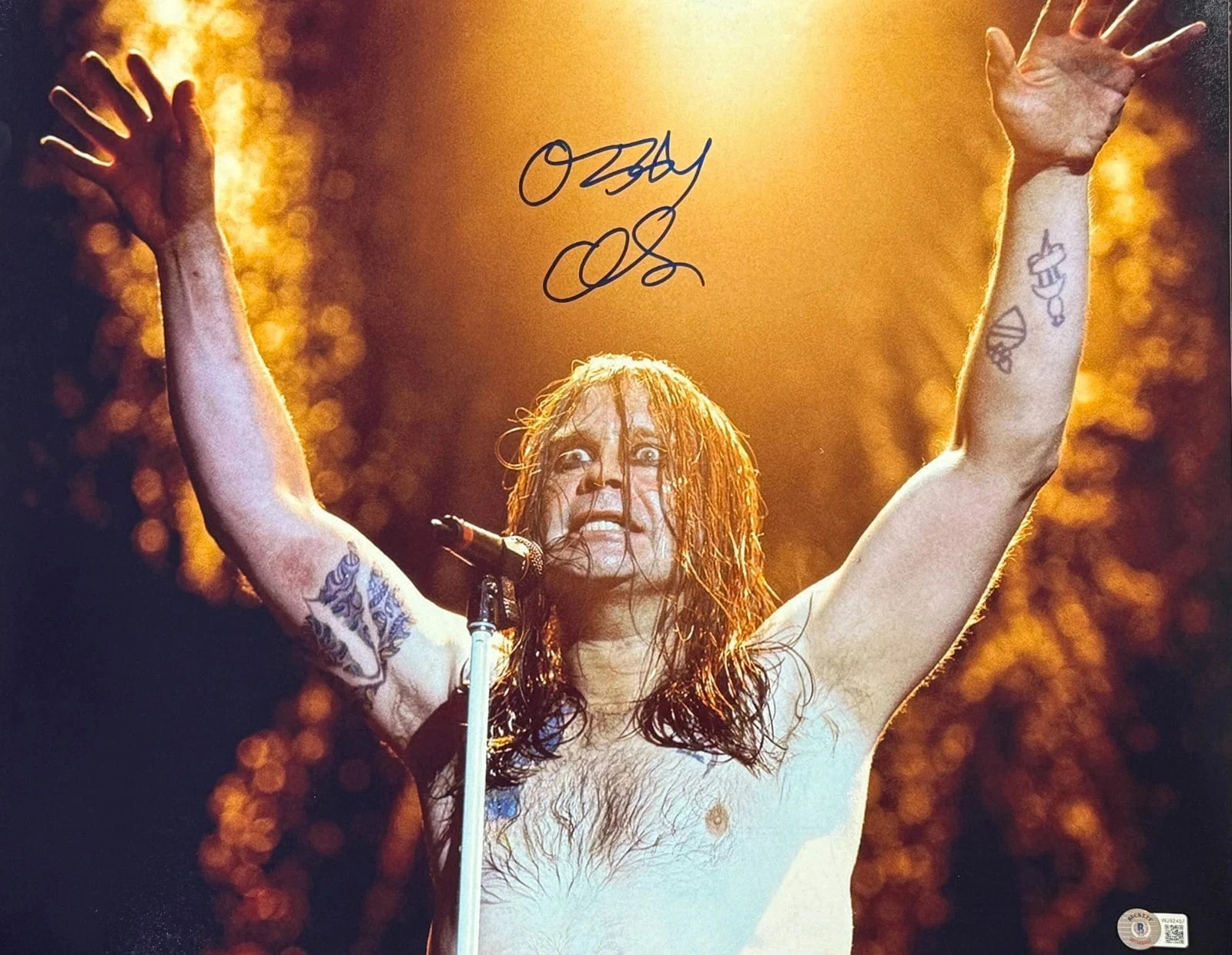 Ozzy Osbourne Autographed 16x20 Photo - Beckett